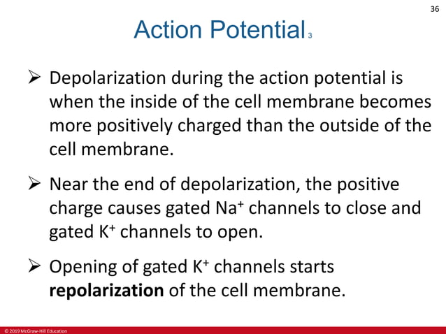 Ch07 lecture ppt_a (1) | PPTX