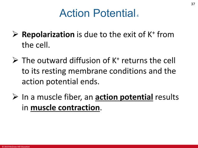 Ch07 lecture ppt_a (1) | PPTX
