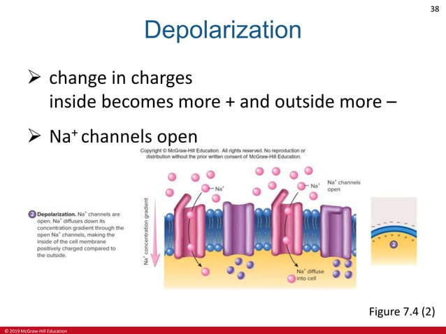 Ch07 lecture ppt_a (1) | PPTX