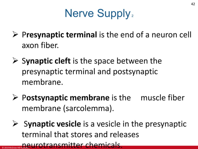 Ch07 lecture ppt_a (1) | PPTX