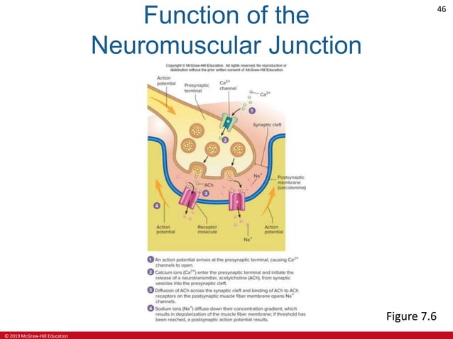Ch07 lecture ppt_a (1) | PPTX