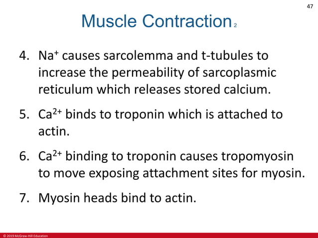 Ch07 lecture ppt_a (1) | PPTX