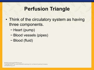 Ch07 presentation shock | PPT