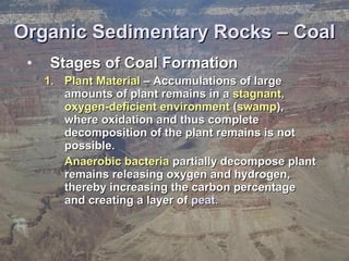 Organic Sedimentary Rock Coal