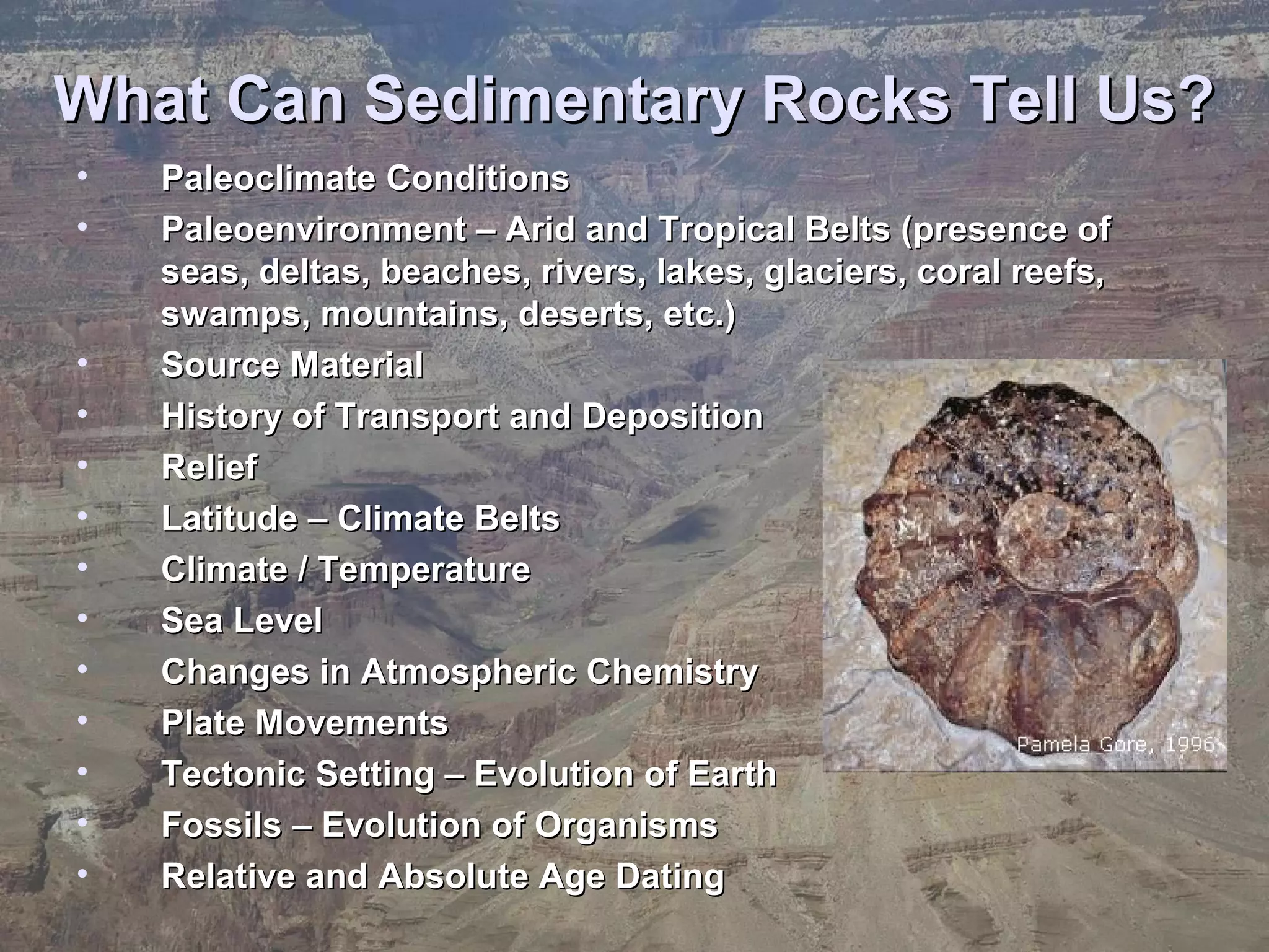 Ch07 sedimentary rocks | PPT