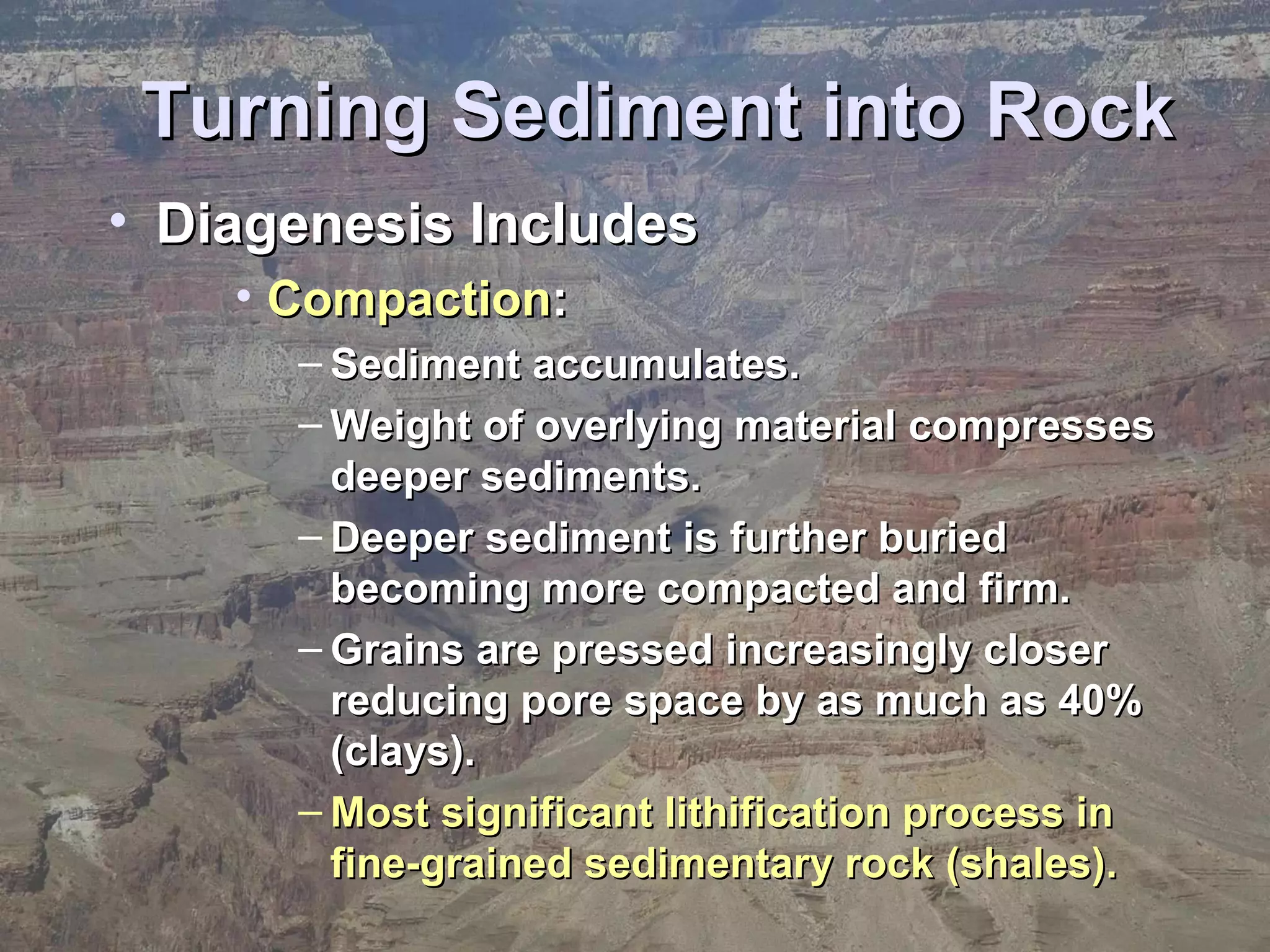 Ch07 sedimentary rocks | PPT