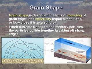 Ch07 sedimentary rocks | PPT