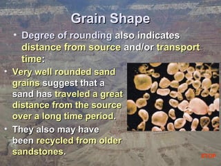 Ch07 sedimentary rocks | PPT