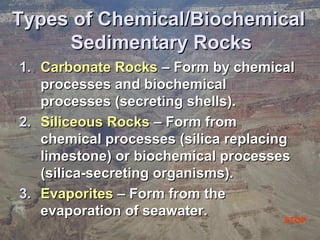 Interpet Historical Clues Found In Sedimentary Rocks Geology