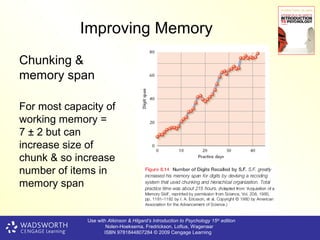 Lecture5:Memory.DrNaif | PPT