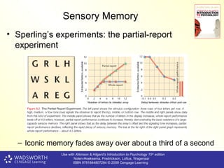 Lecture5:Memory.DrNaif | PPT