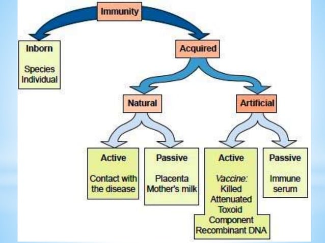 Ch 08 - Human Health and Disease || Class 12 || | PPTX | Infectious ...