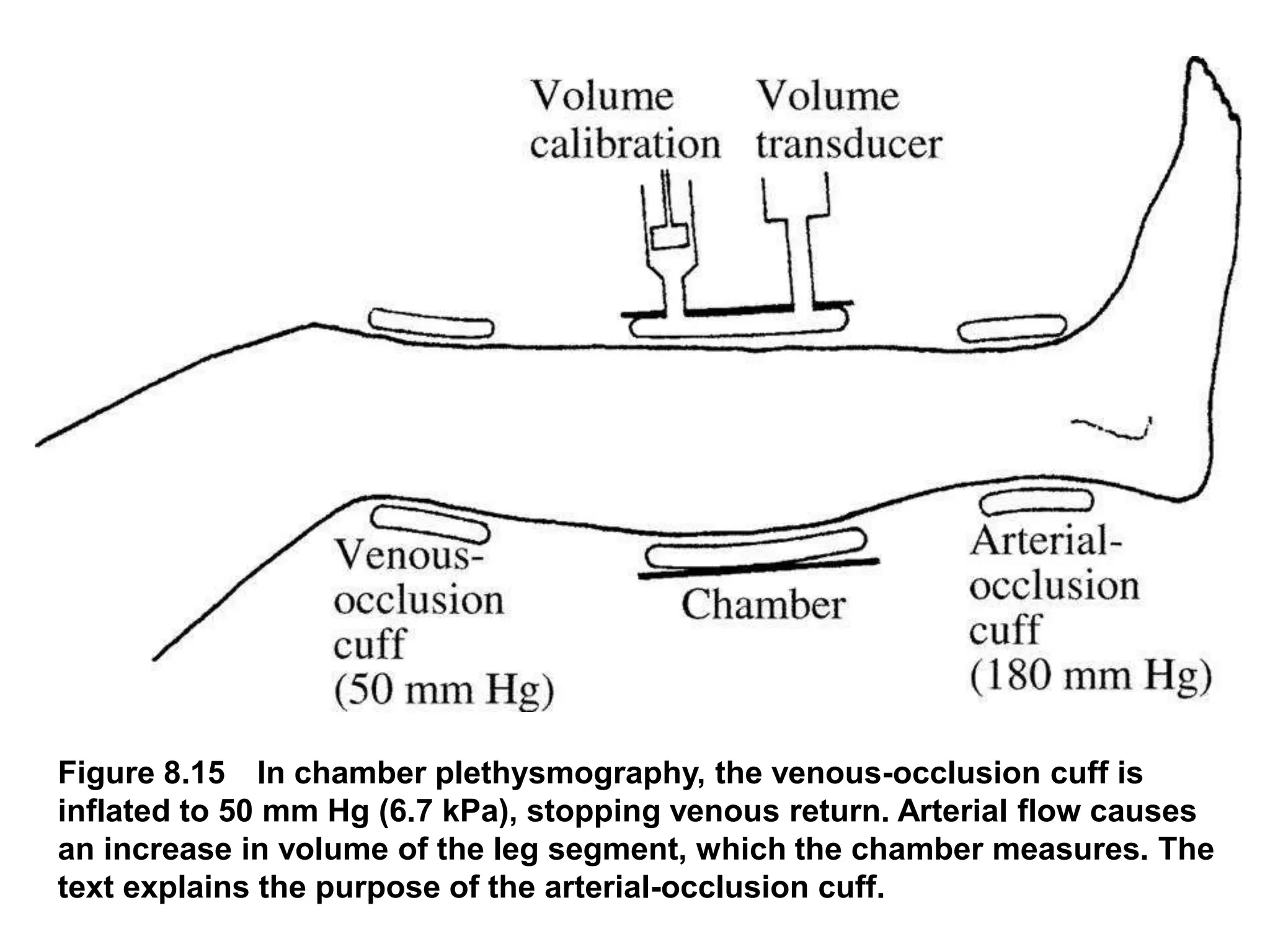 Blood flow measurement and volume of flow | PPT