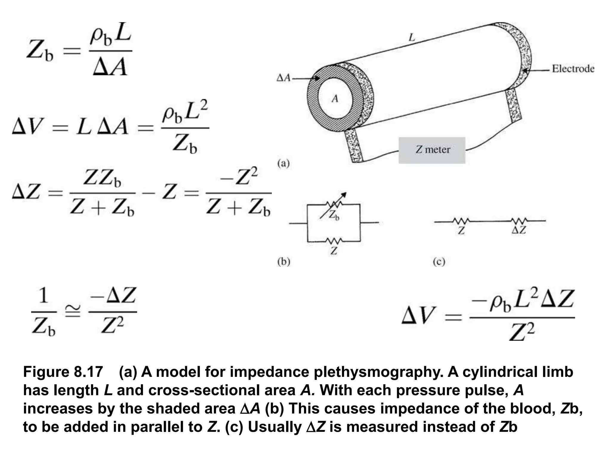 Blood flow measurement and volume of flow | PPT