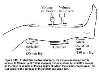 Blood flow measurement and volume of flow | PPT