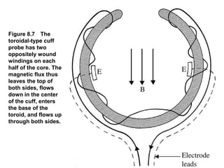 Blood flow measurement and volume of flow | PPT