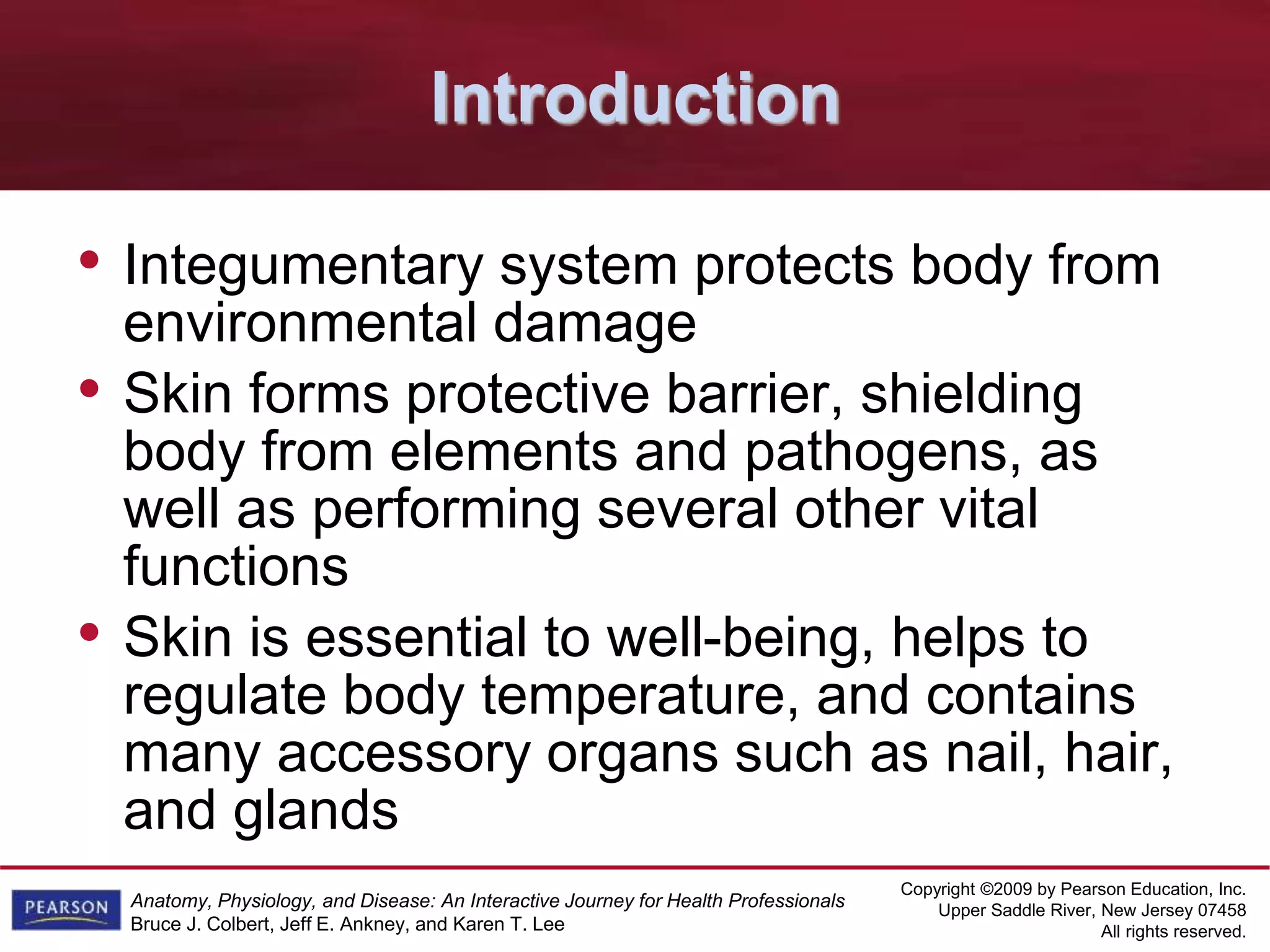 ch08 Integumentary System The Protective Covering.ppt