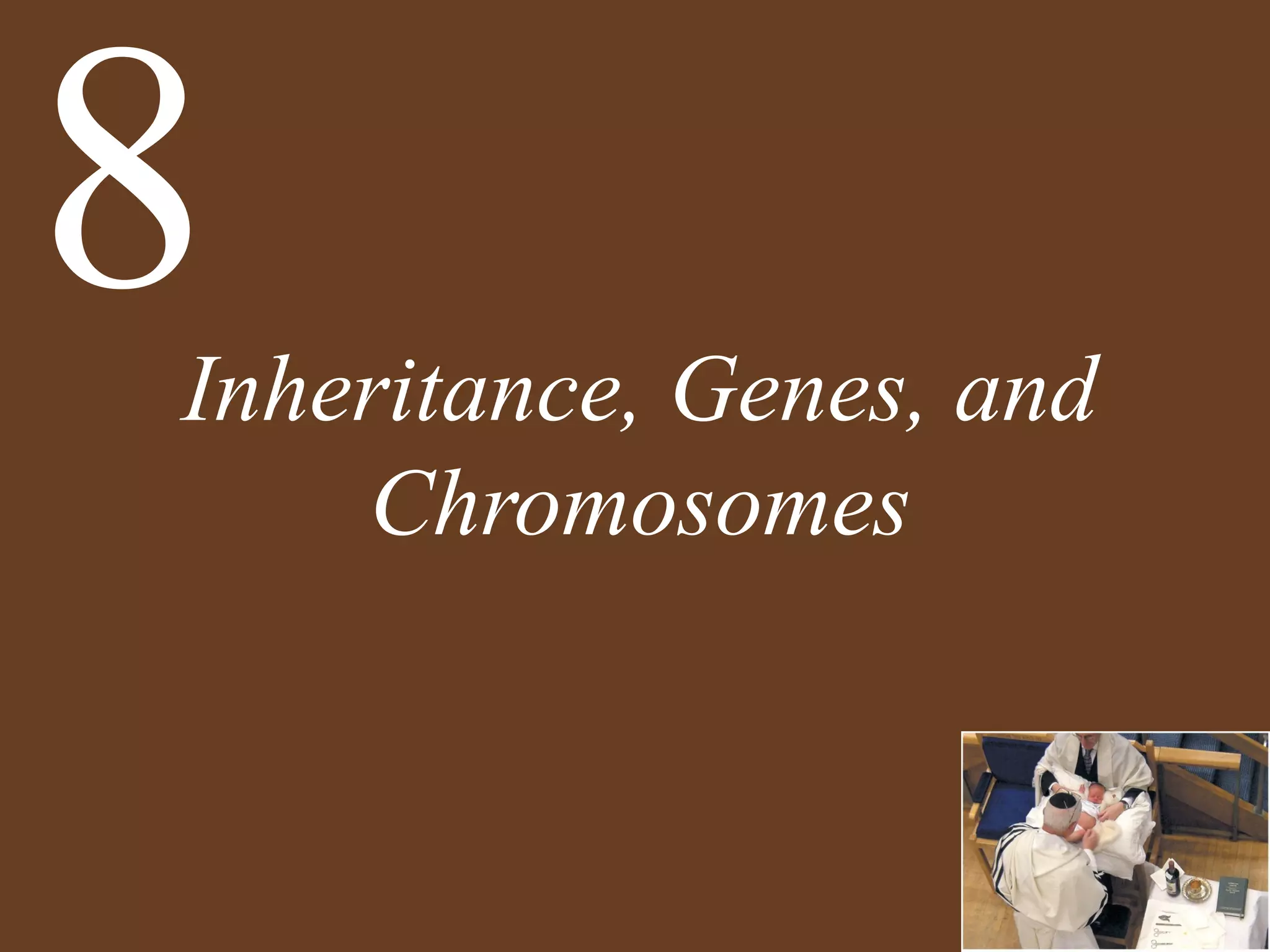 Ch08 lecture inheritance, genes, and chromosomes | PPT