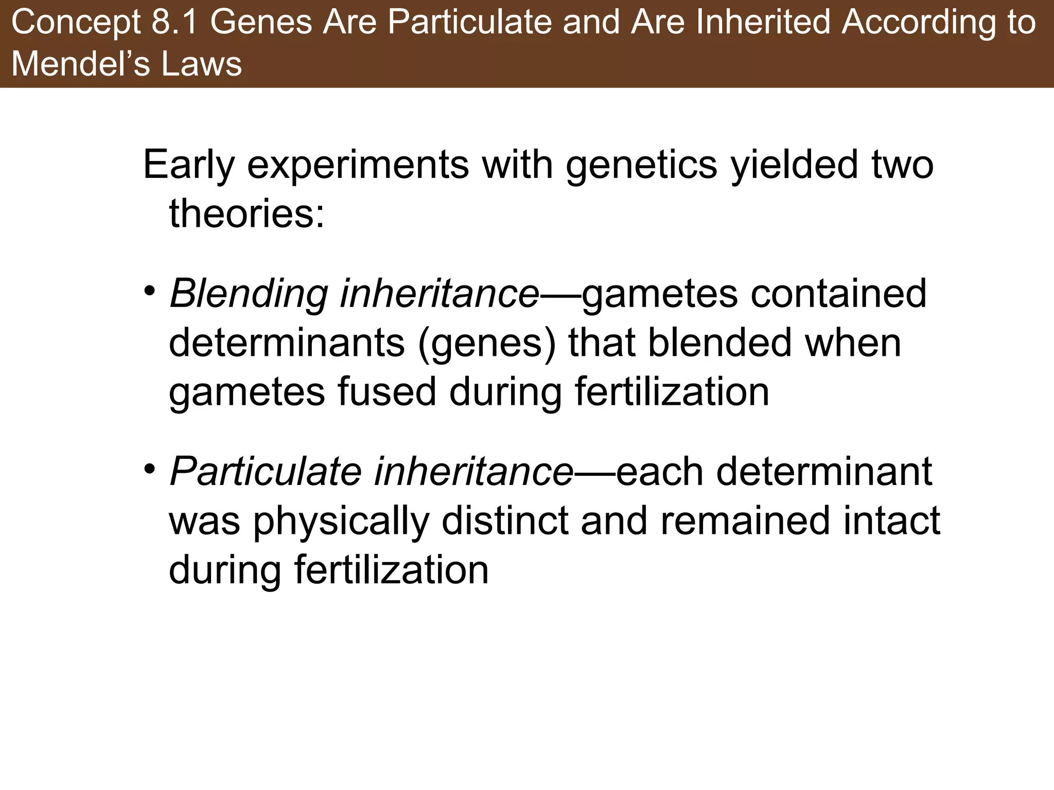 Ch08 lecture inheritance, genes, and chromosomes | PPT