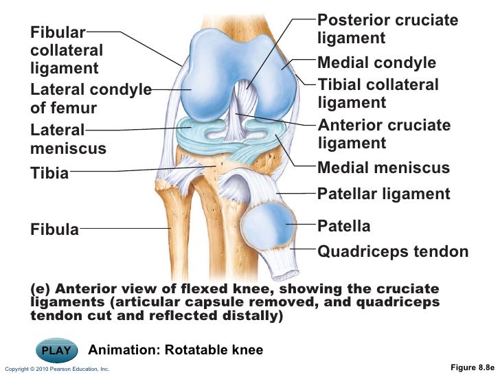 Ch 08 lecture_outline_b