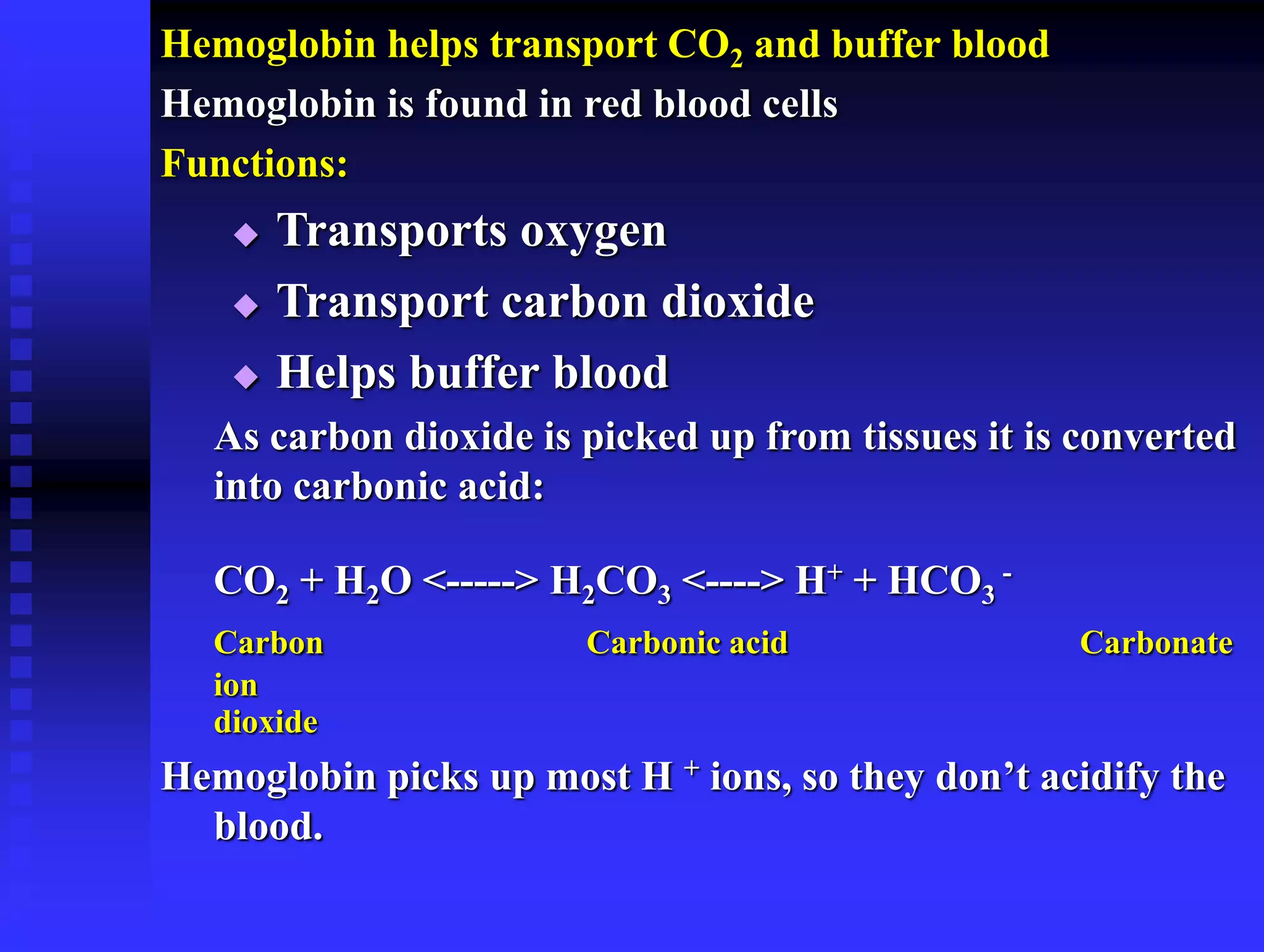 human biology | PPT