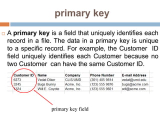Ch # 09 database management system | PPT