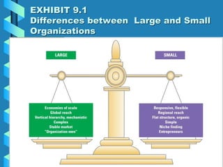 Organization size, life cycle and decline.ppt