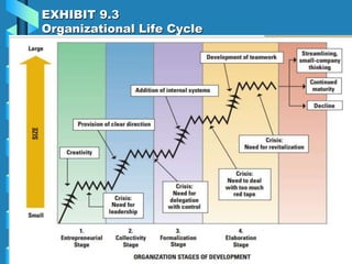 Organization size, life cycle and decline.ppt