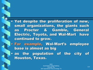 Organization size, life cycle and decline.ppt
