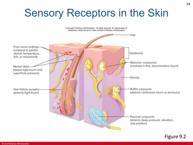 Ch09 lecture ppt_a (1) | PPTX