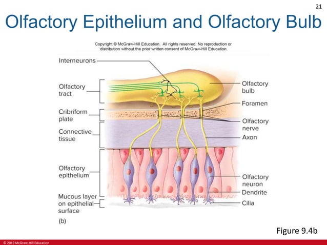 Ch09 lecture ppt_a (1) | PPTX