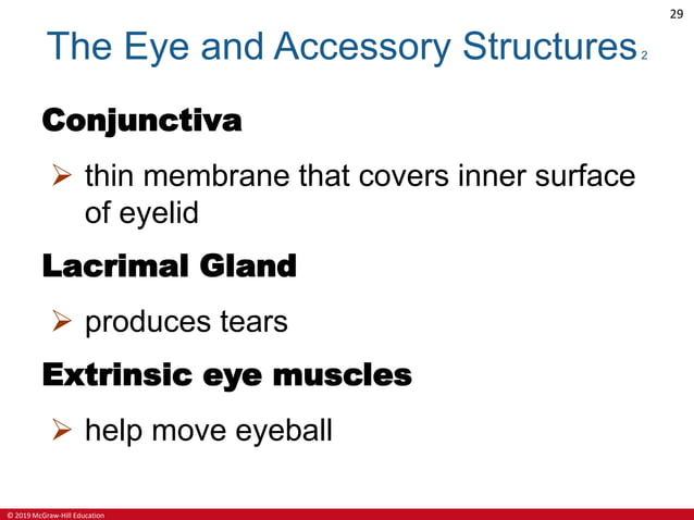 Ch09 lecture ppt_a (1) | PPTX