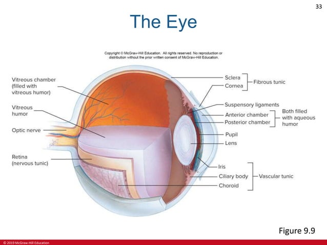 Ch09 lecture ppt_a (1) | PPTX