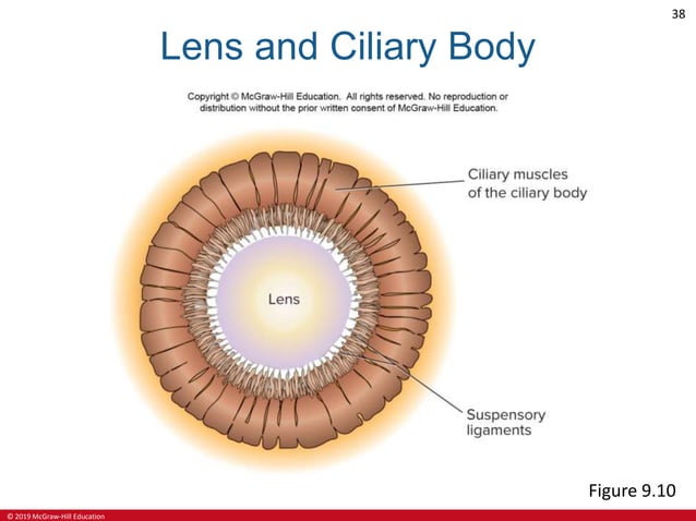 Ch09 lecture ppt_a (1) | PPTX