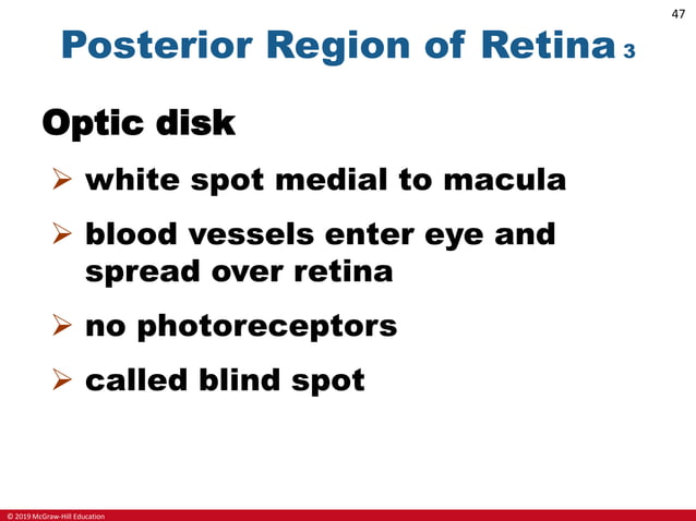 Ch09 lecture ppt_a (1) | PPTX