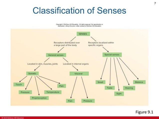 Ch09 lecture ppt_a (1) | PPTX