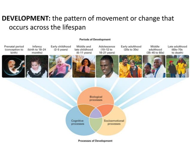 Ch09 Lifespan Development | PPT