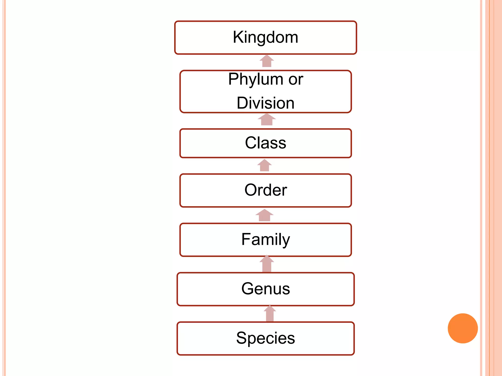 Chapter 1. Diversity in the Living World | PPTX