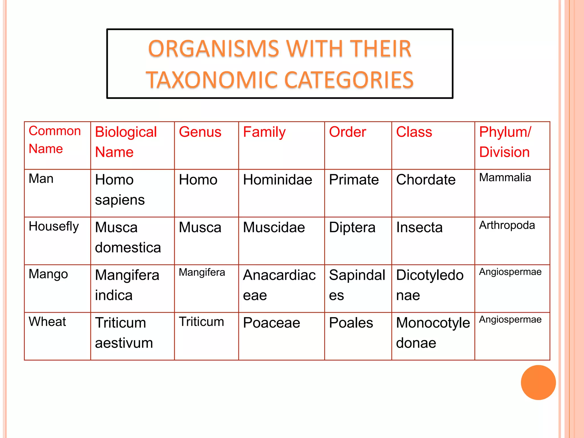 Chapter 1. Diversity in the Living World | PPTX