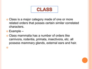 Chapter 1. Diversity in the Living World | PPTX