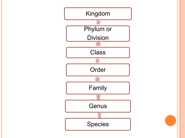 Chapter 1. Diversity in the Living World | PPTX | Biological Sciences ...
