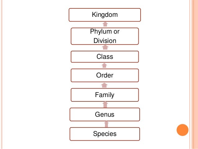 Chapter 1. Diversity in the Living World