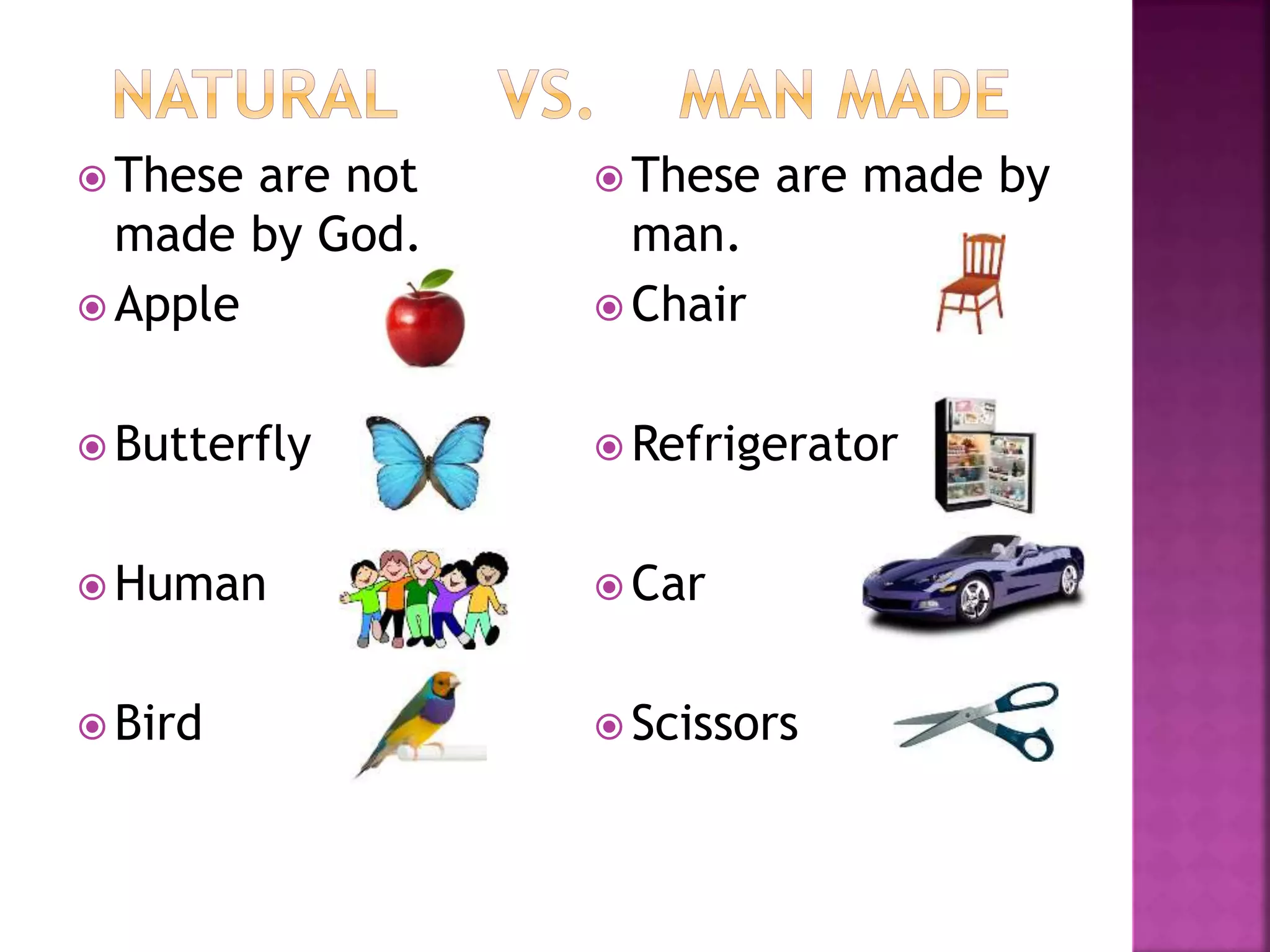 Natural and Man made things | PPTX