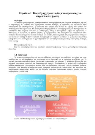 ΝΕΥΡΙΚΟ ΣΥΣΤΗΜΑ | PDF