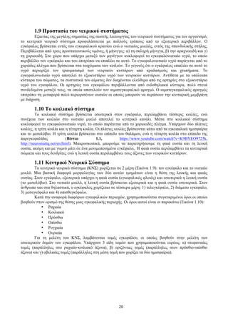 ΝΕΥΡΙΚΟ ΣΥΣΤΗΜΑ | PDF