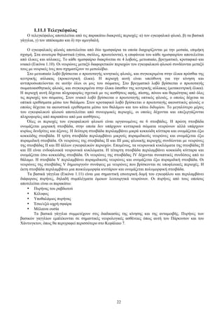 ΝΕΥΡΙΚΟ ΣΥΣΤΗΜΑ | PDF