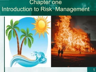Introduction to risk management for economic | PPT