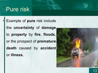 Introduction to risk management for economic | PPT