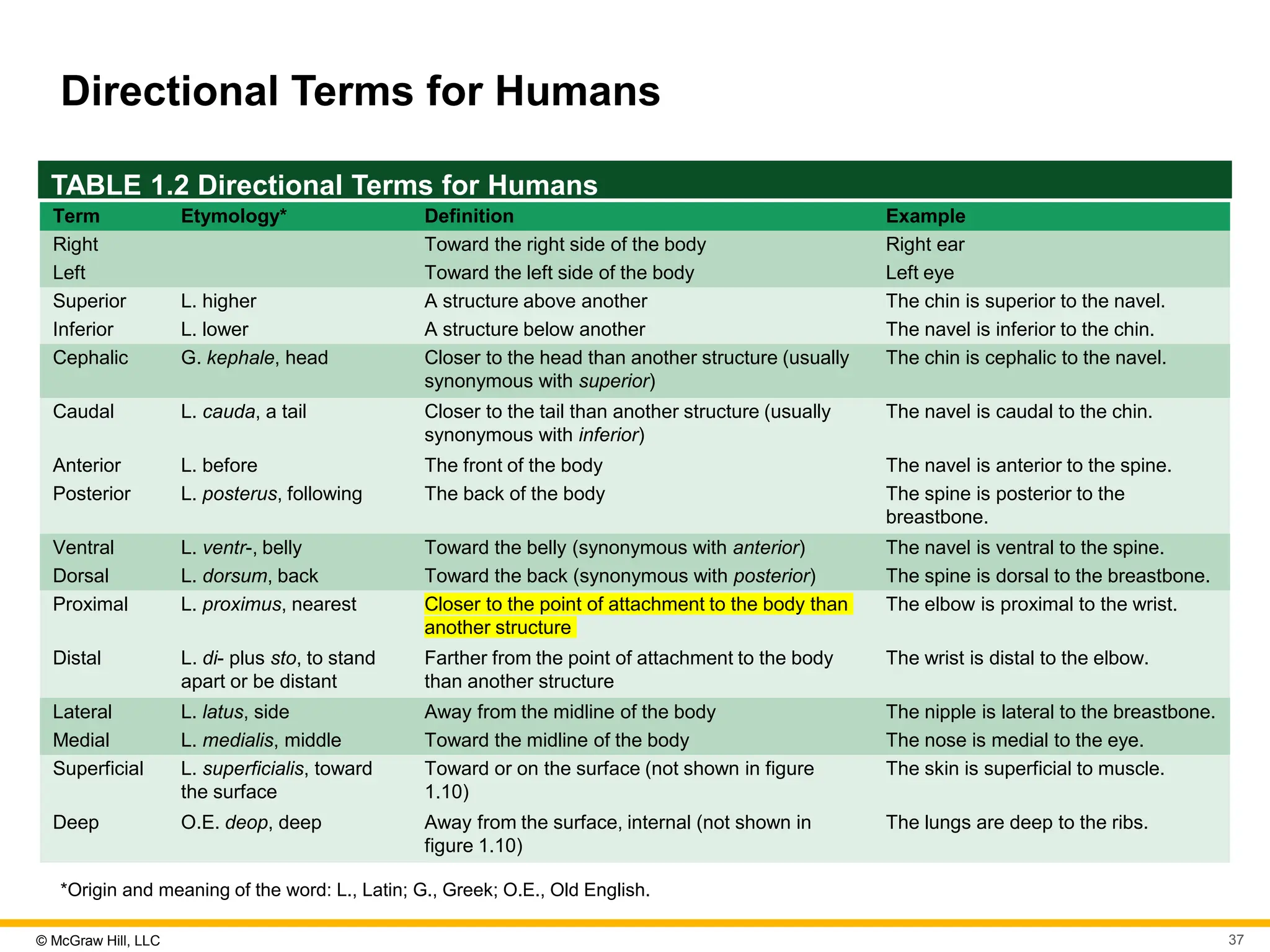 Anatomy and Physiology Seeley chapter 1- The human Organism | PPTX