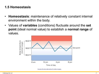 Anatomy and Physiology Seeley chapter 1- The human Organism | PPTX